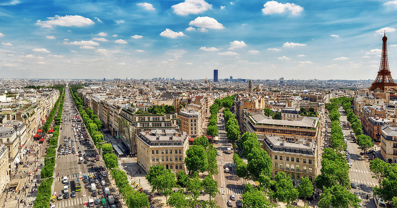 Freudenberg Group: Freudenberg in France